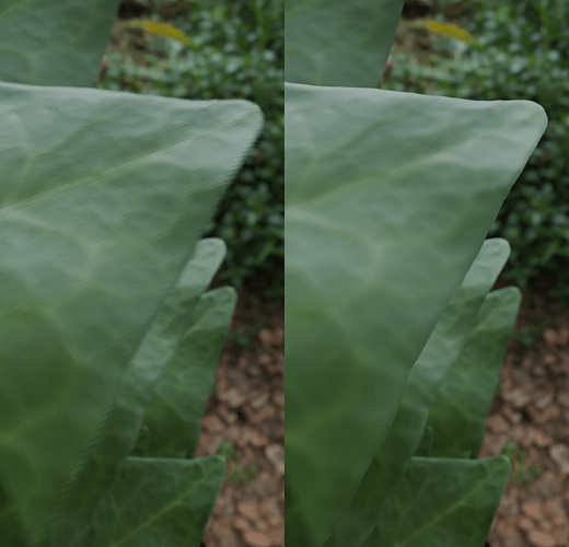 Photorealistic leaf shader - Materials and Textures - Blender Artists ...