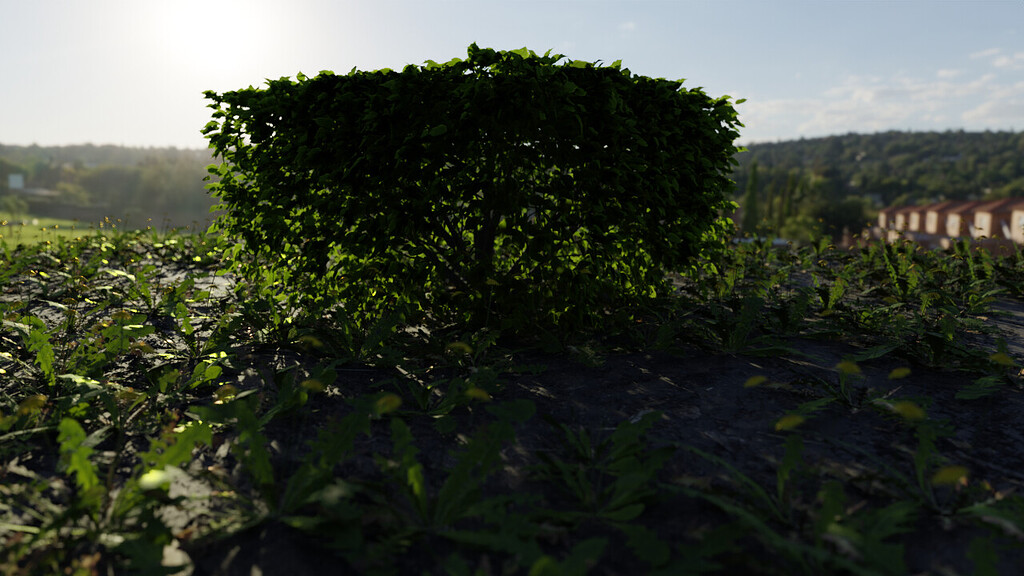 How to get more light under the translucent leaves of trees - Lighting ...