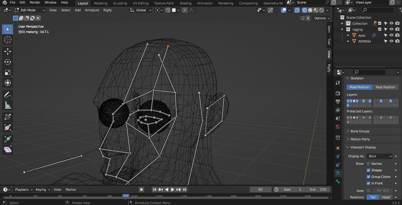 Rigg has no eye controller - Animation and Rigging - Blender Artists ...